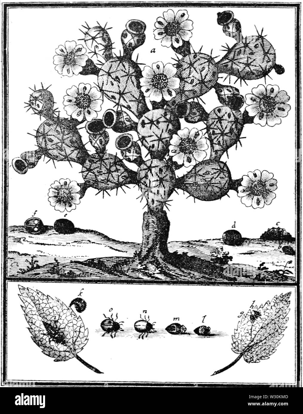 Comedy of errors hi-res stock photography and images - Alamy