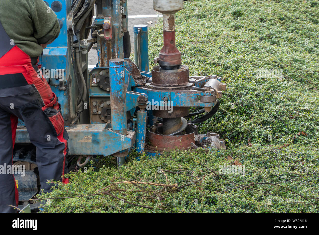Hollow borehole auger of a dry drilling rig drills a hole in the sandy ...