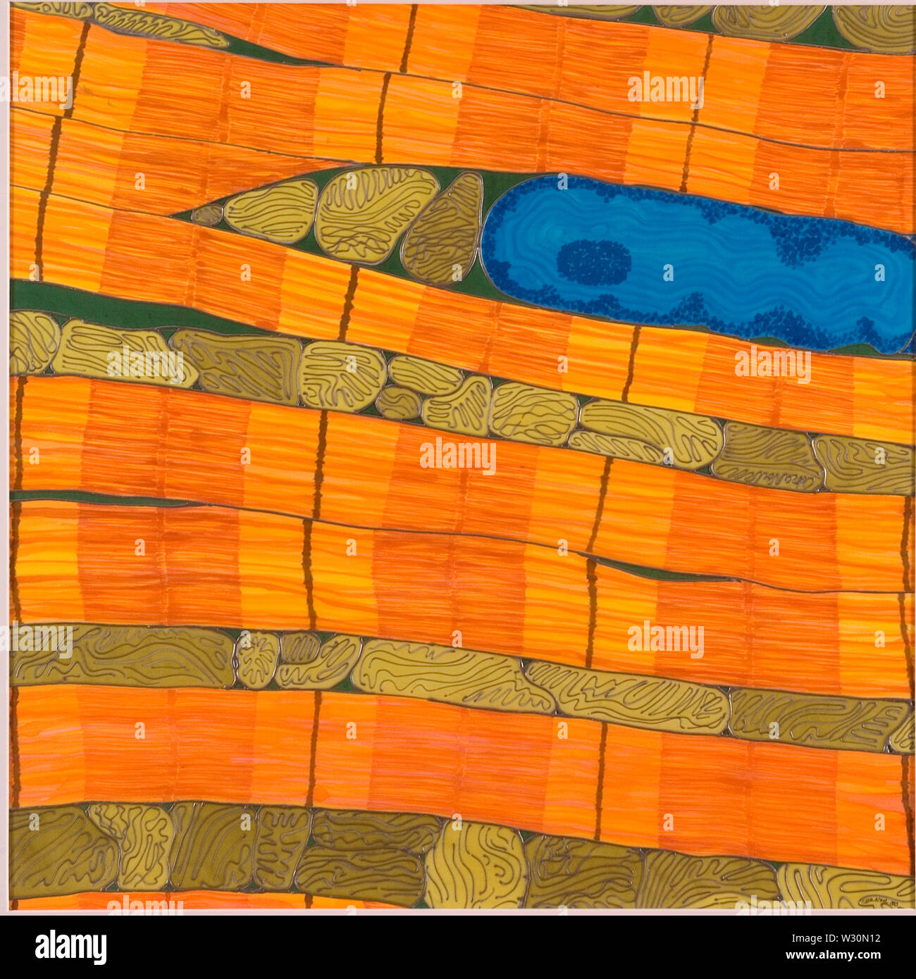 Muscle physiology drawing hi-res stock photography and images - Alamy