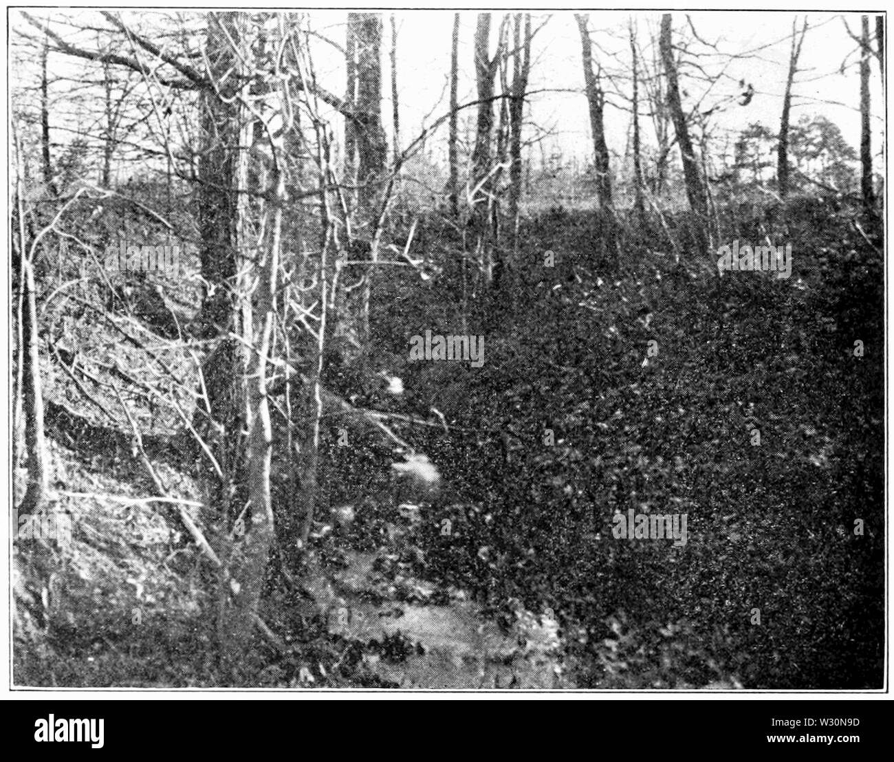 Spring basin Cut Out Stock Images & Pictures - Alamy