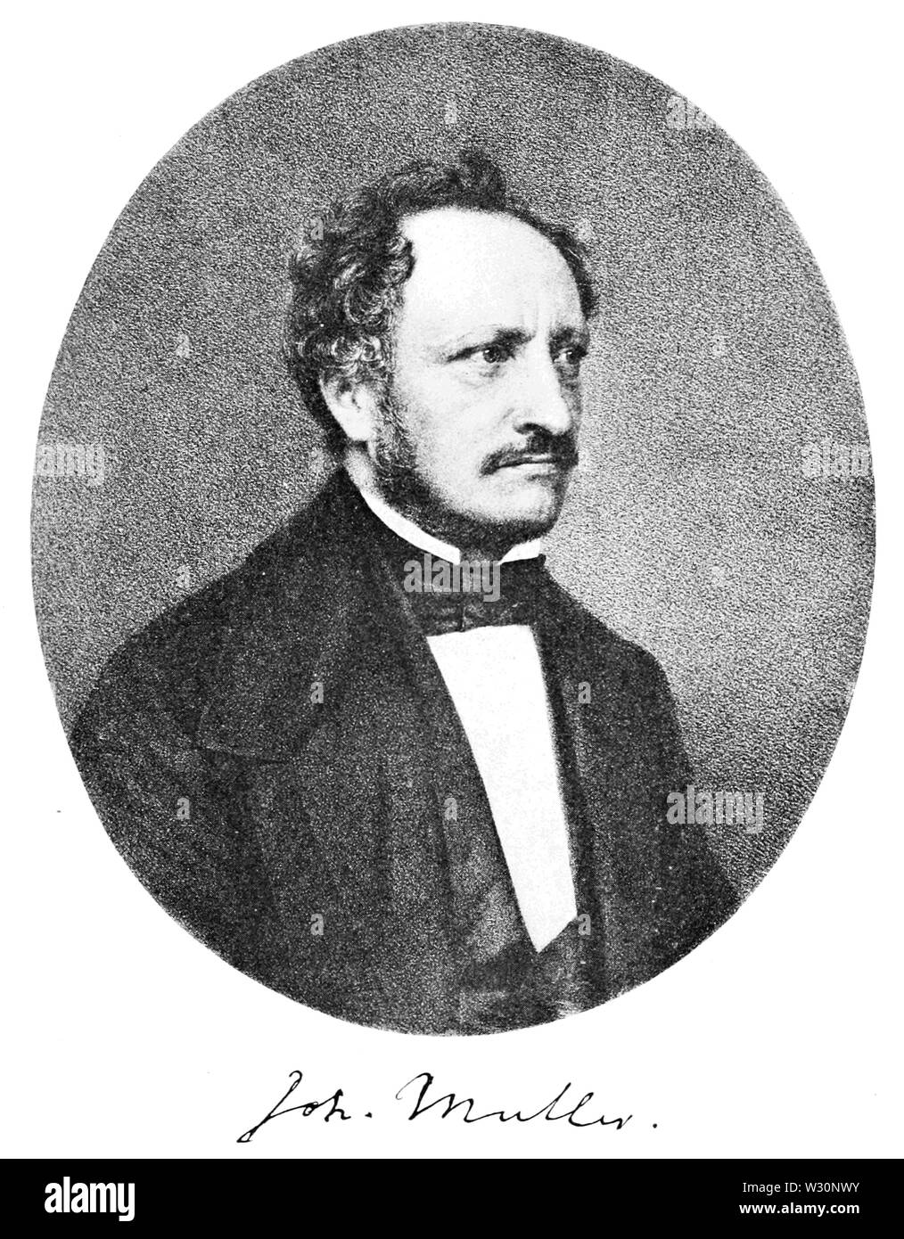 John muller Cut Out Stock Images & Pictures - Alamy