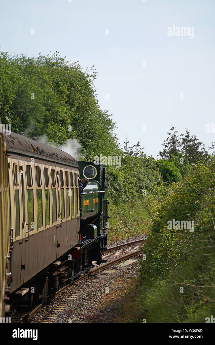A railway guard looks anxiously out of a carriage window as a vintage ...