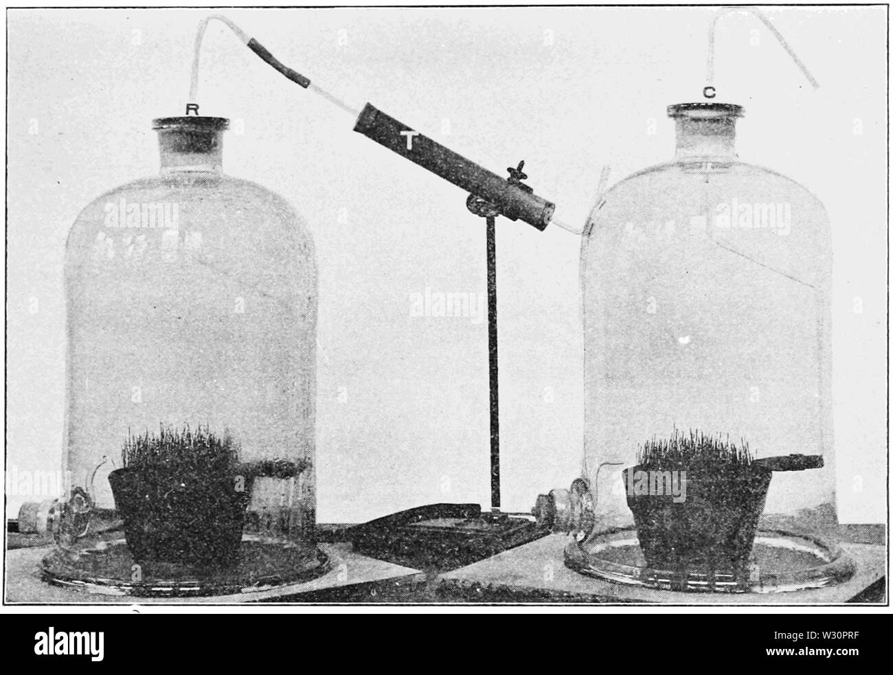 Growth retardation Black and White Stock Photos & Images - Alamy