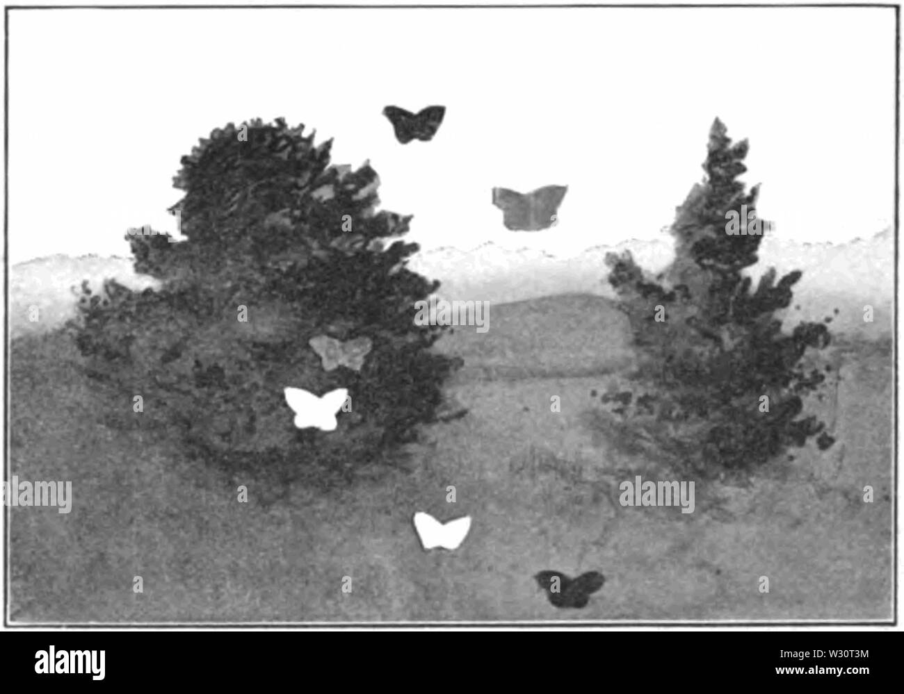 Biological camouflage Black and White Stock Photos & Images - Alamy