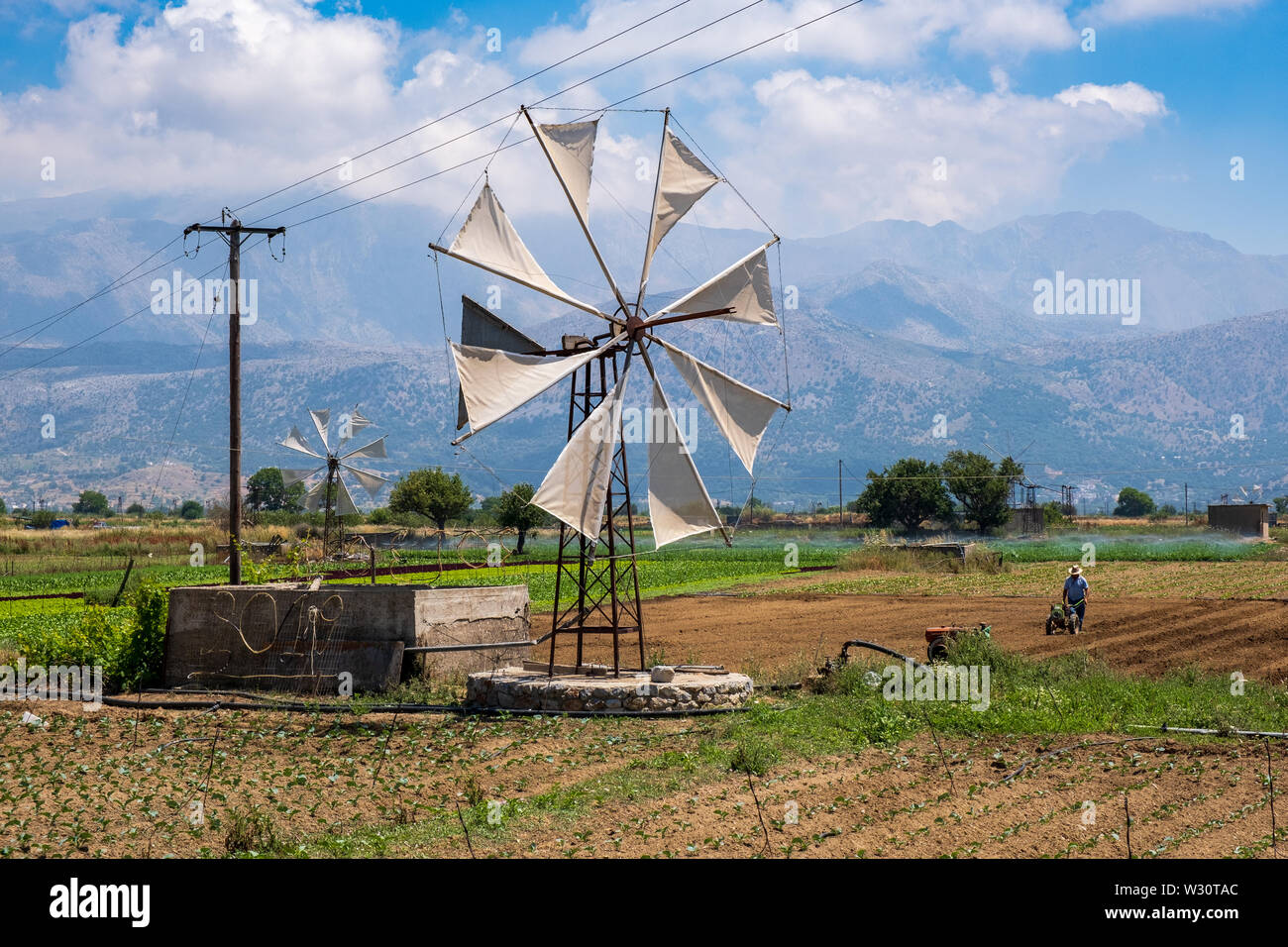 Greek farmer working in field with traditional windmills on Lasithi ...