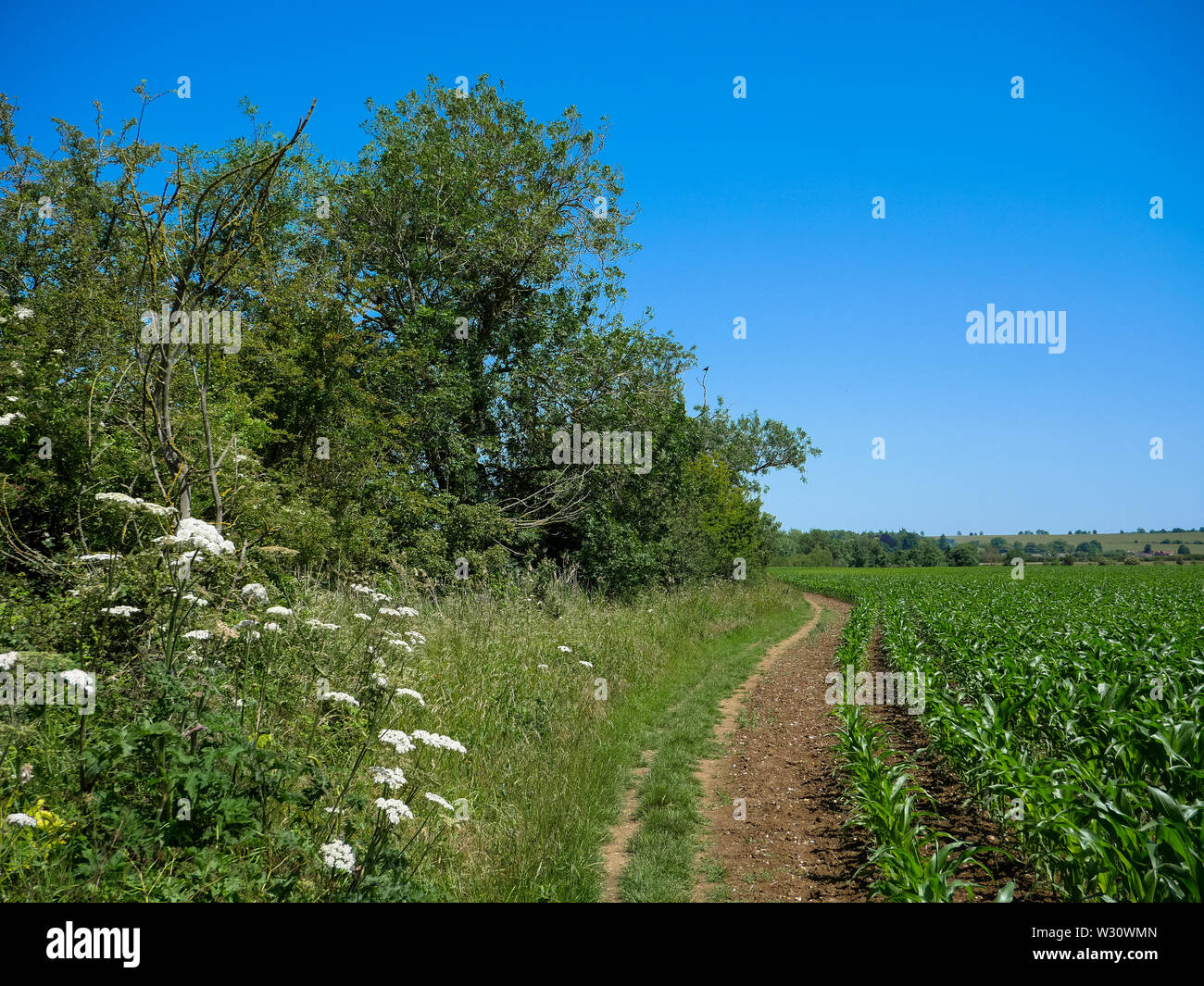 Ancient ridgeway hi-res stock photography and images - Alamy