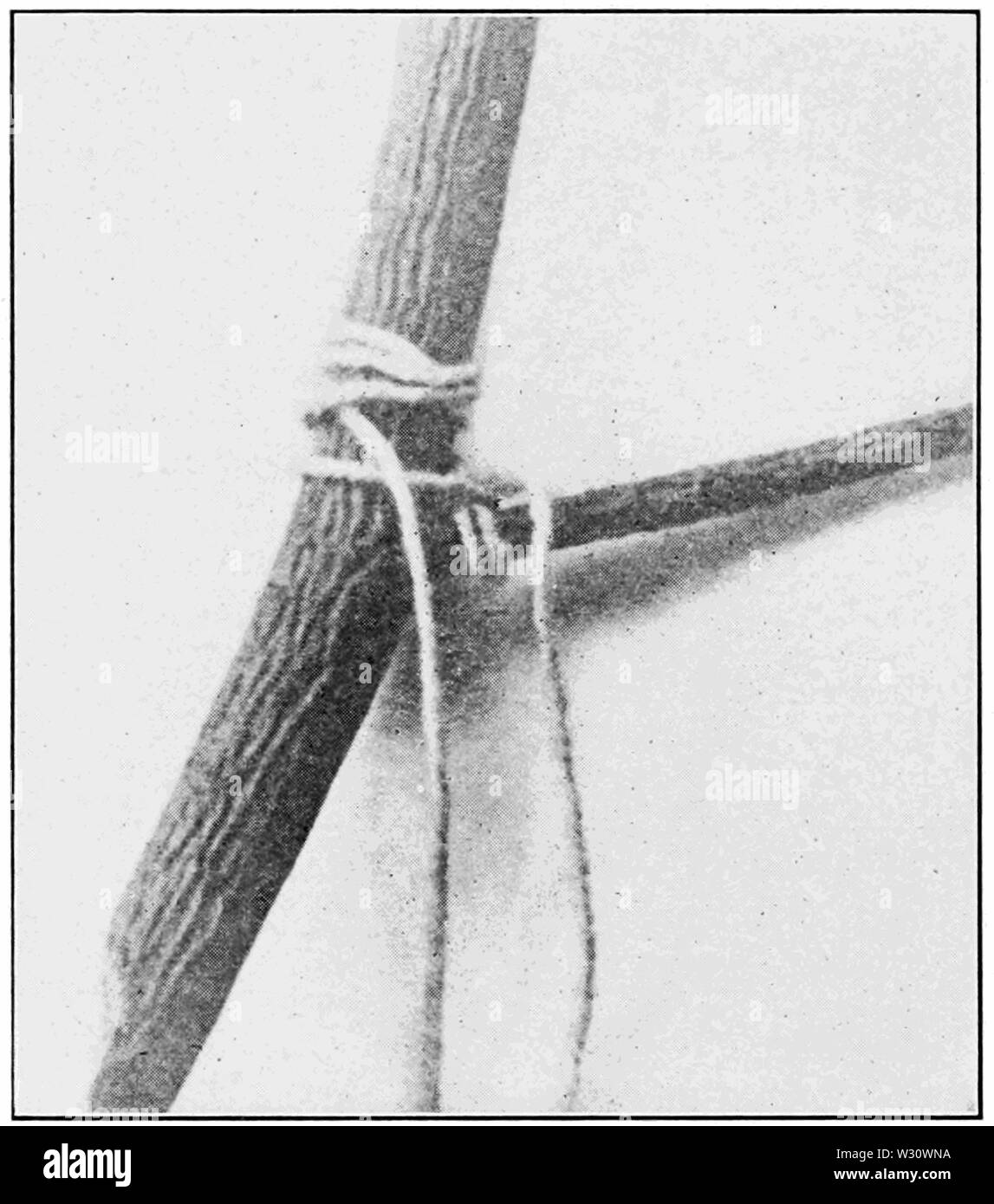 Double knot Black and White Stock Photos & Images - Alamy