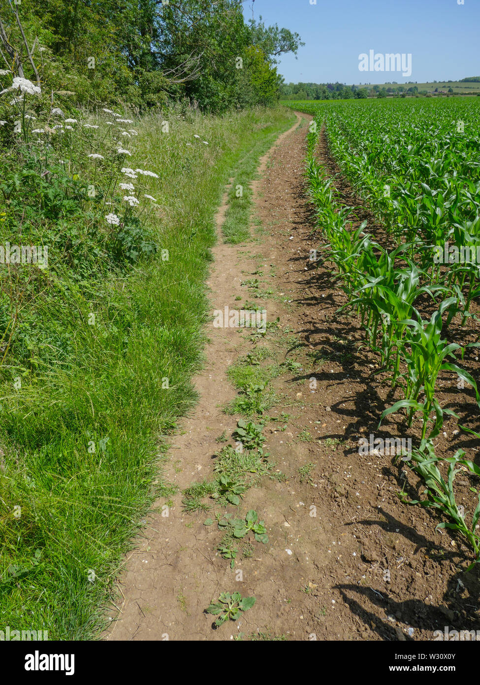 Ancient Ridgeway Path, Running from Littlestoke to North Stoke ...