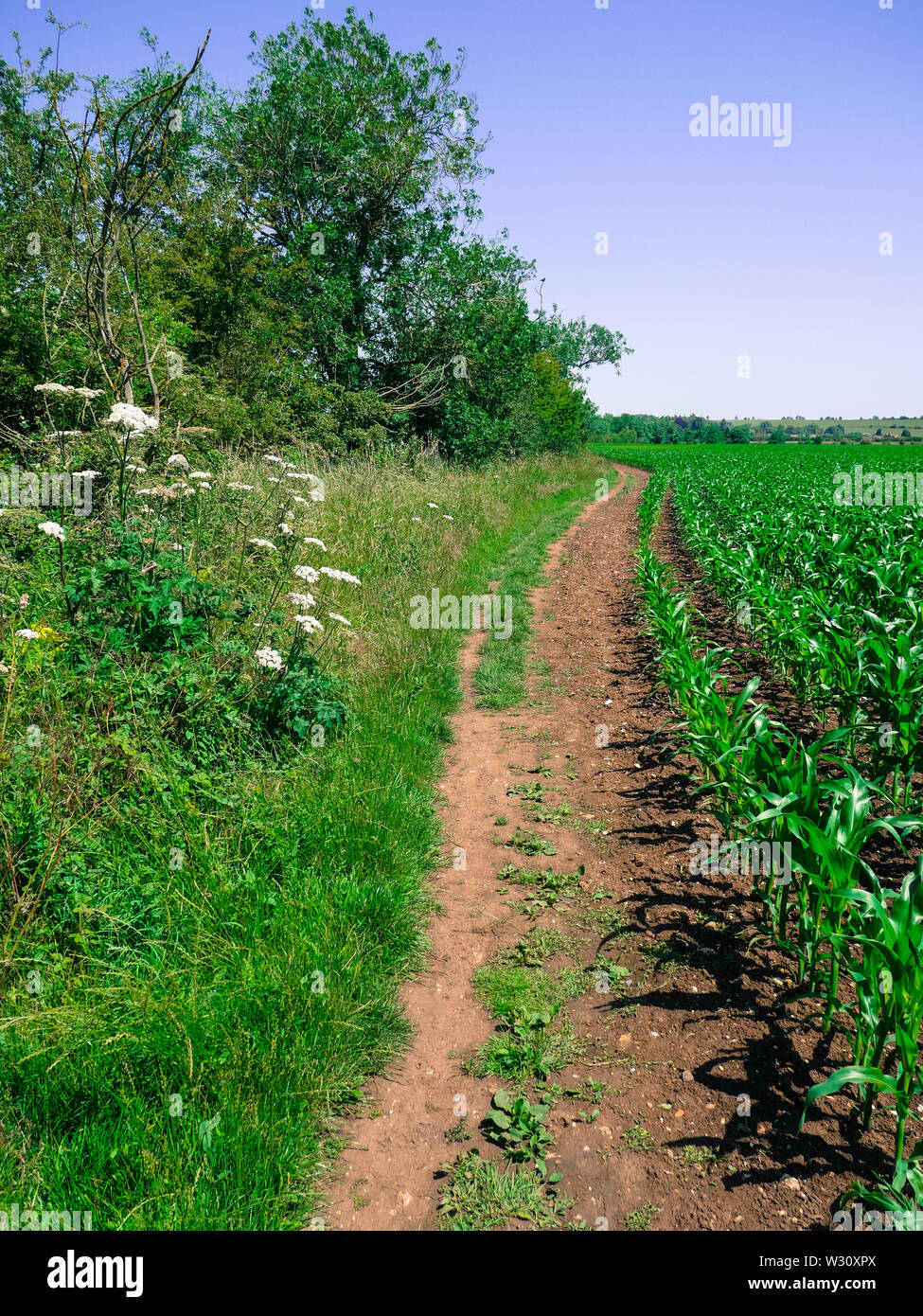 Ancient ridgeway hi-res stock photography and images - Alamy
