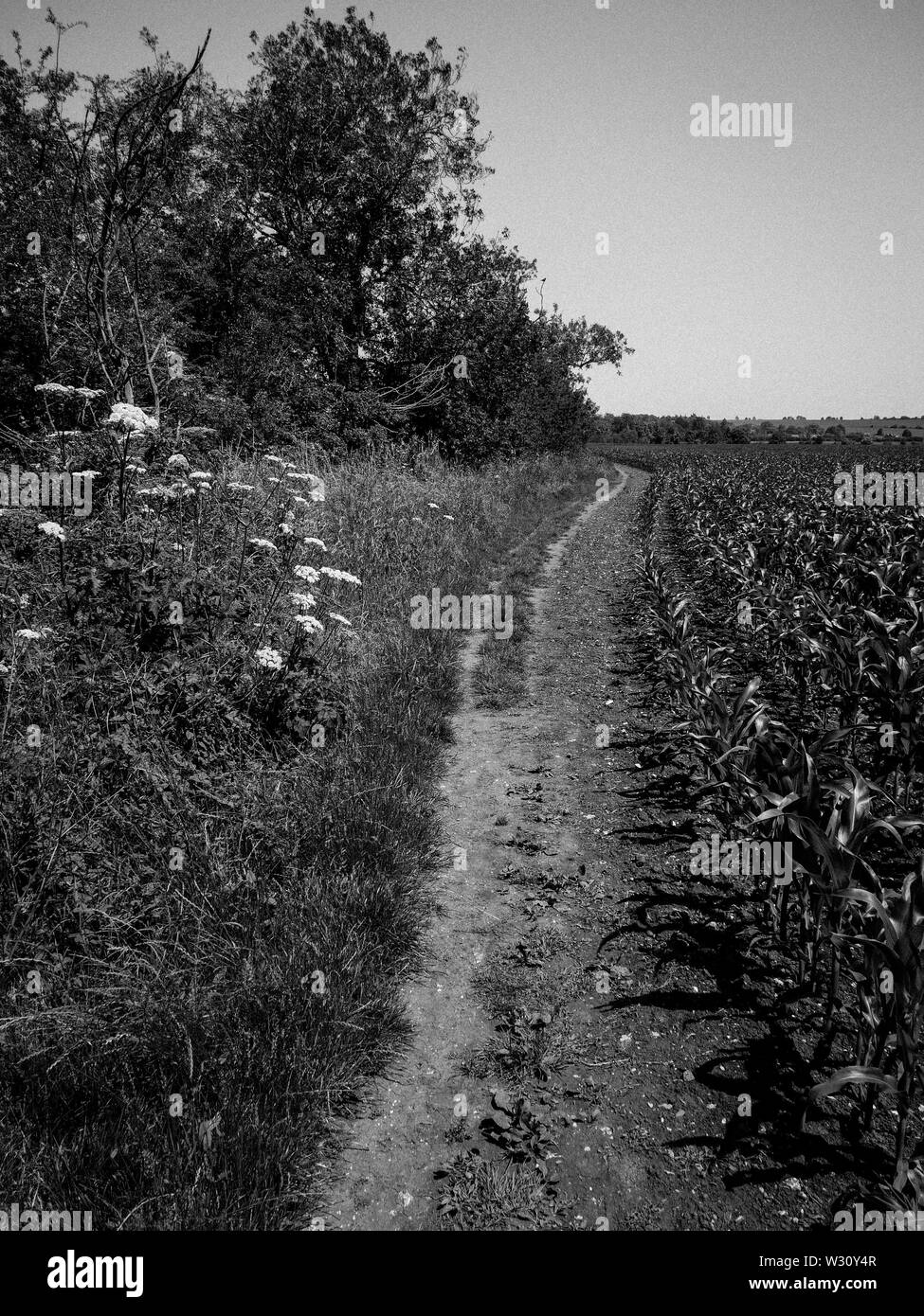 Ancient Ridgeway Path, Running from Littlestoke to North Stoke ...
