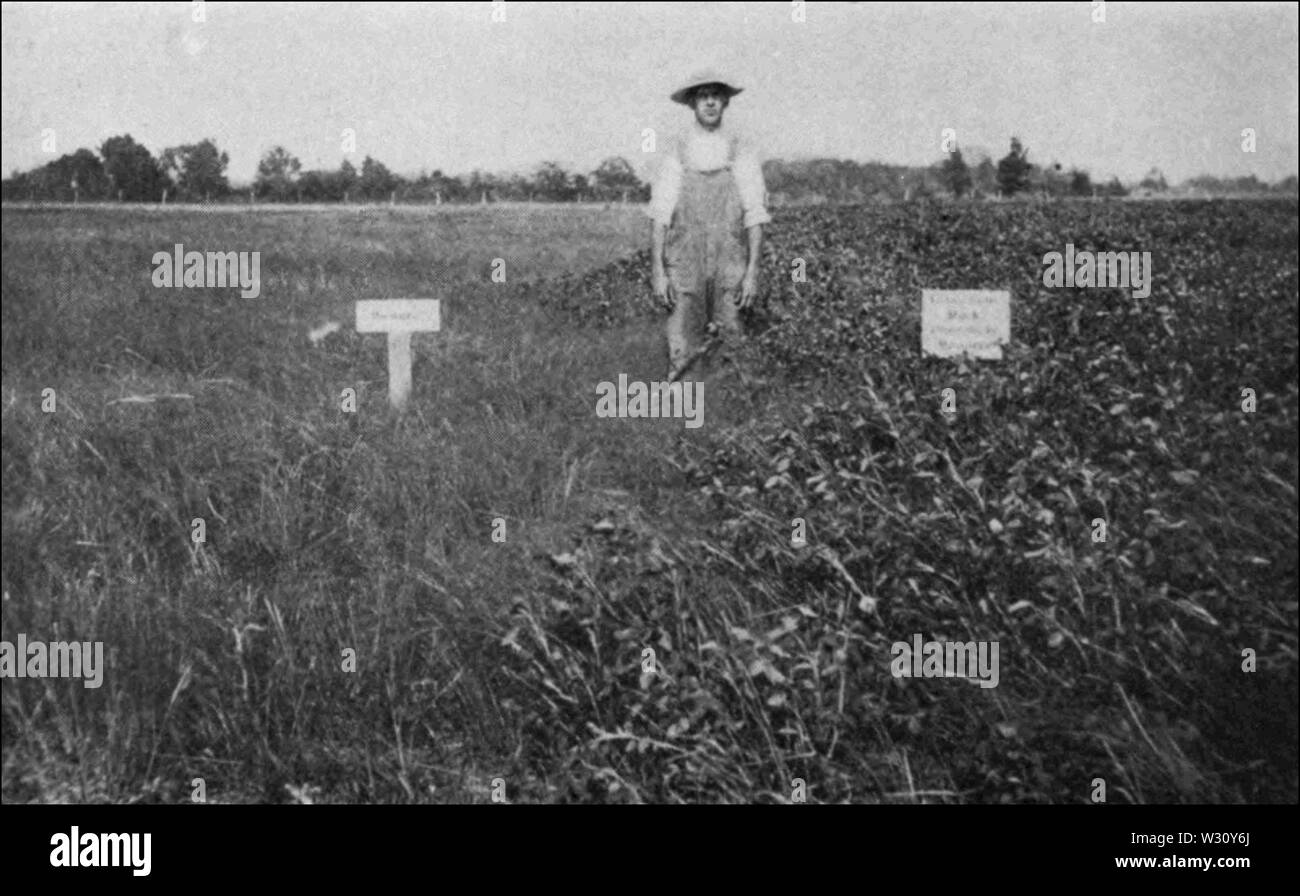 Experiment botanical Black and White Stock Photos & Images - Alamy