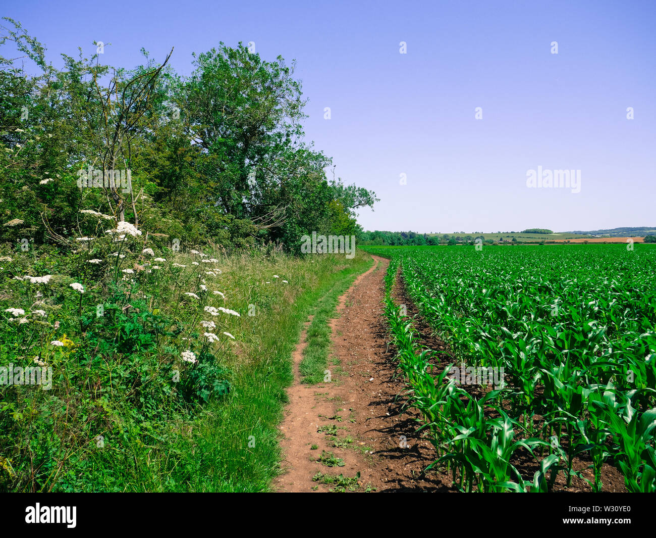 Ancient Ridgeway Path, Running from Littlestoke to North Stoke ...
