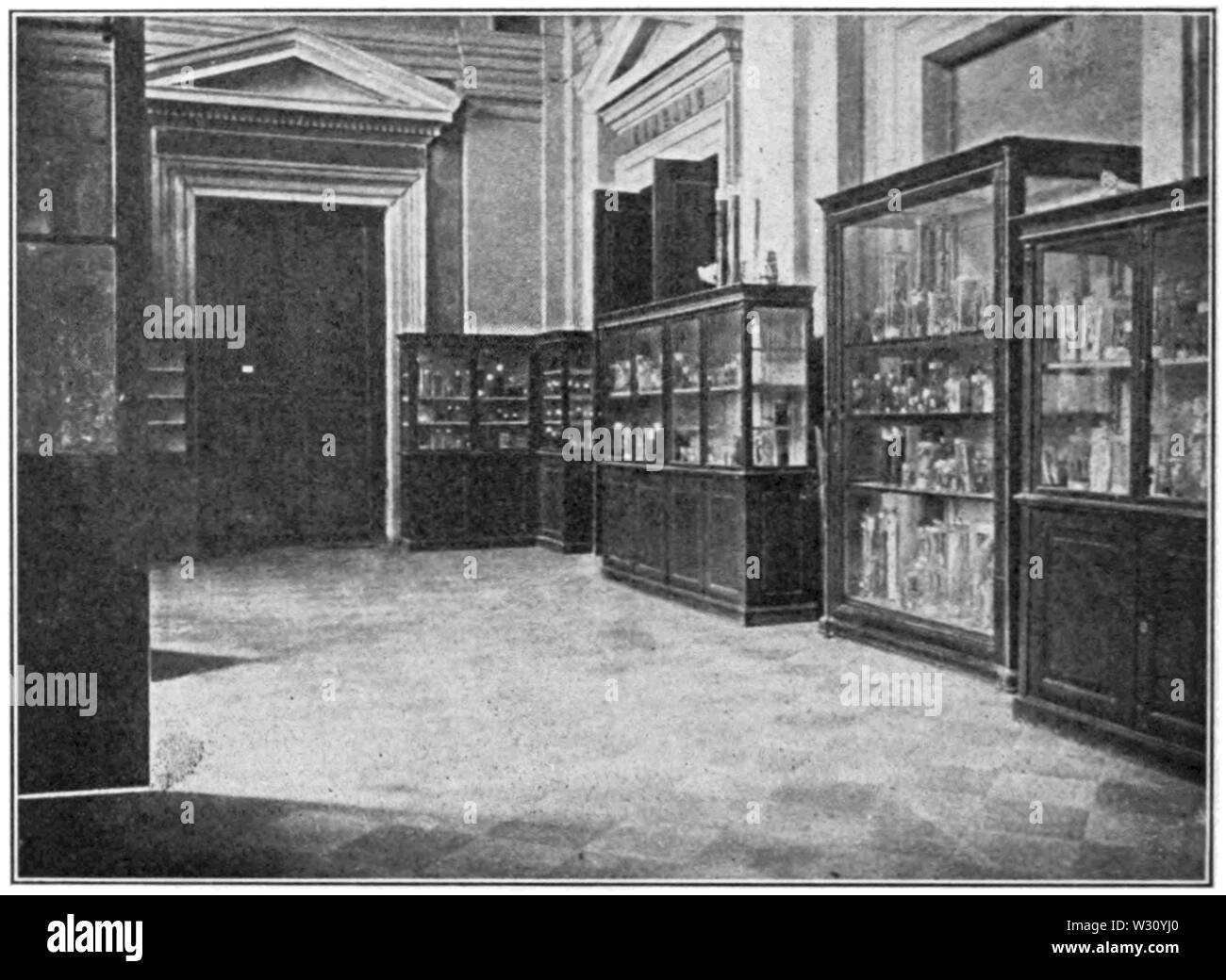 Specimen display Cut Out Stock Images & Pictures - Alamy