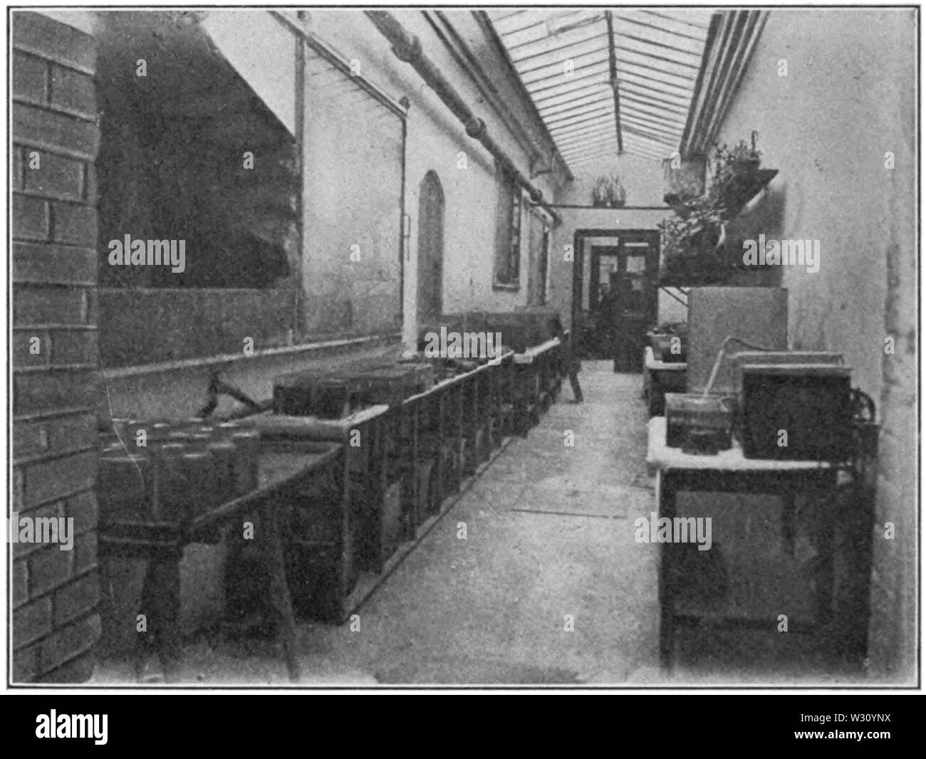 Scientific culture Cut Out Stock Images & Pictures - Alamy