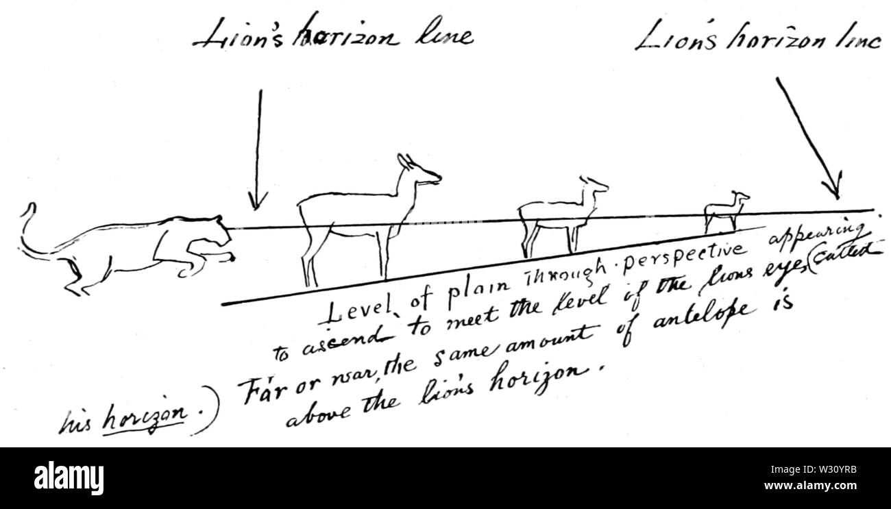 Natural patterns in visual Cut Out Stock Images & Pictures - Alamy