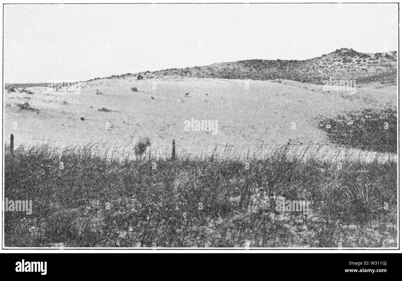 Overgrazing land Cut Out Stock Images & Pictures - Alamy