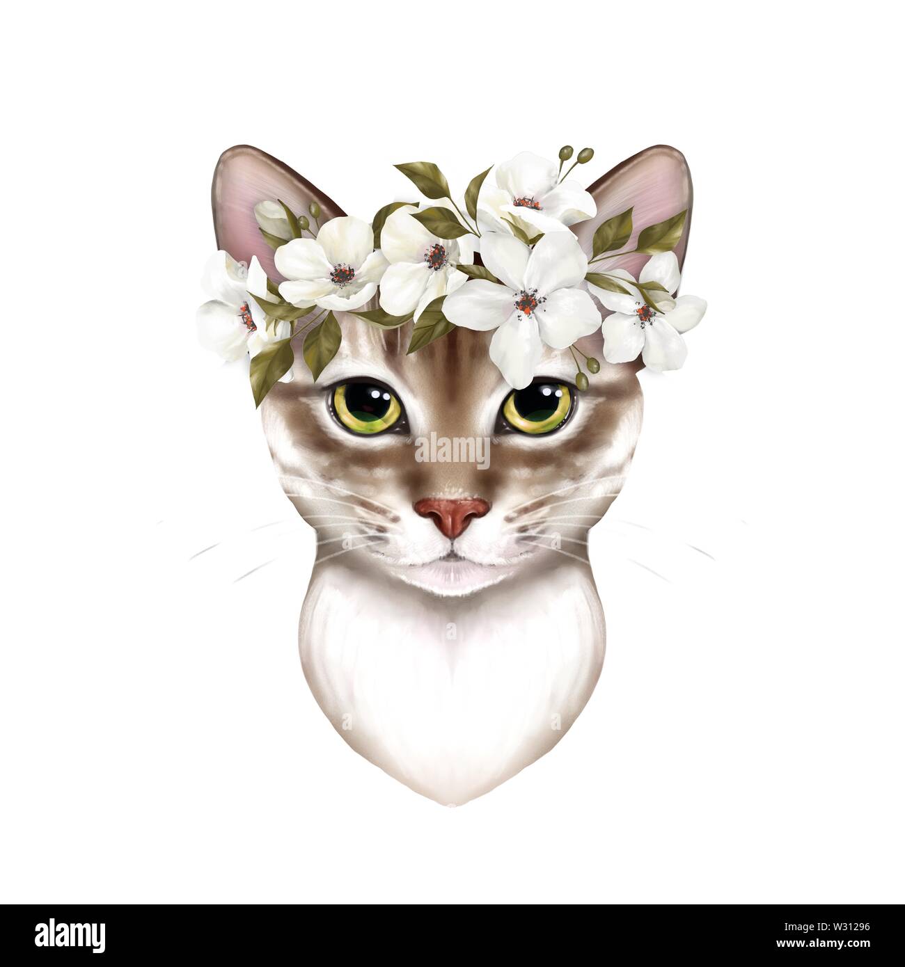 Cute cat with flowers Stock Photo - Alamy