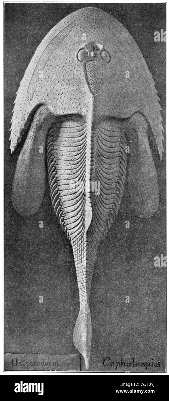 Life restored Black and White Stock Photos & Images - Alamy