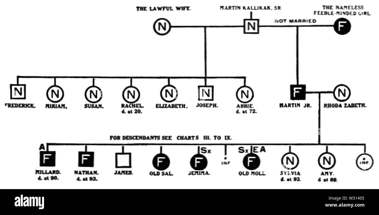 PSM V82 D419 Kallikak family tree in heredity research 1 Stock Photo ...
