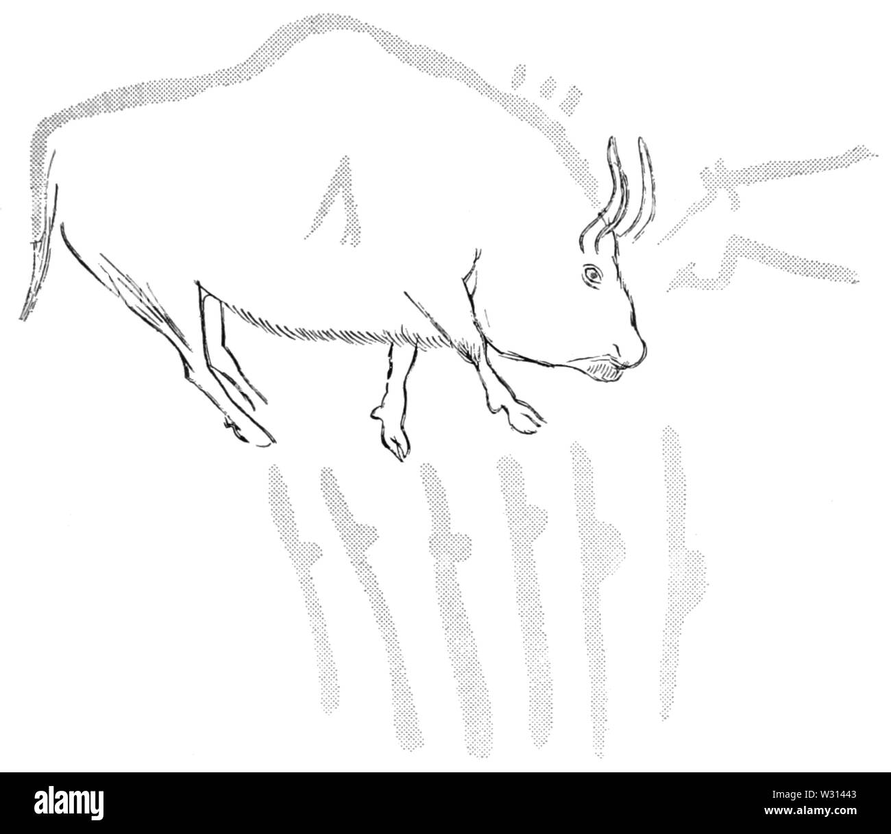 PSM V83 D025 Cave drawing of a wounded bison Stock Photo - Alamy