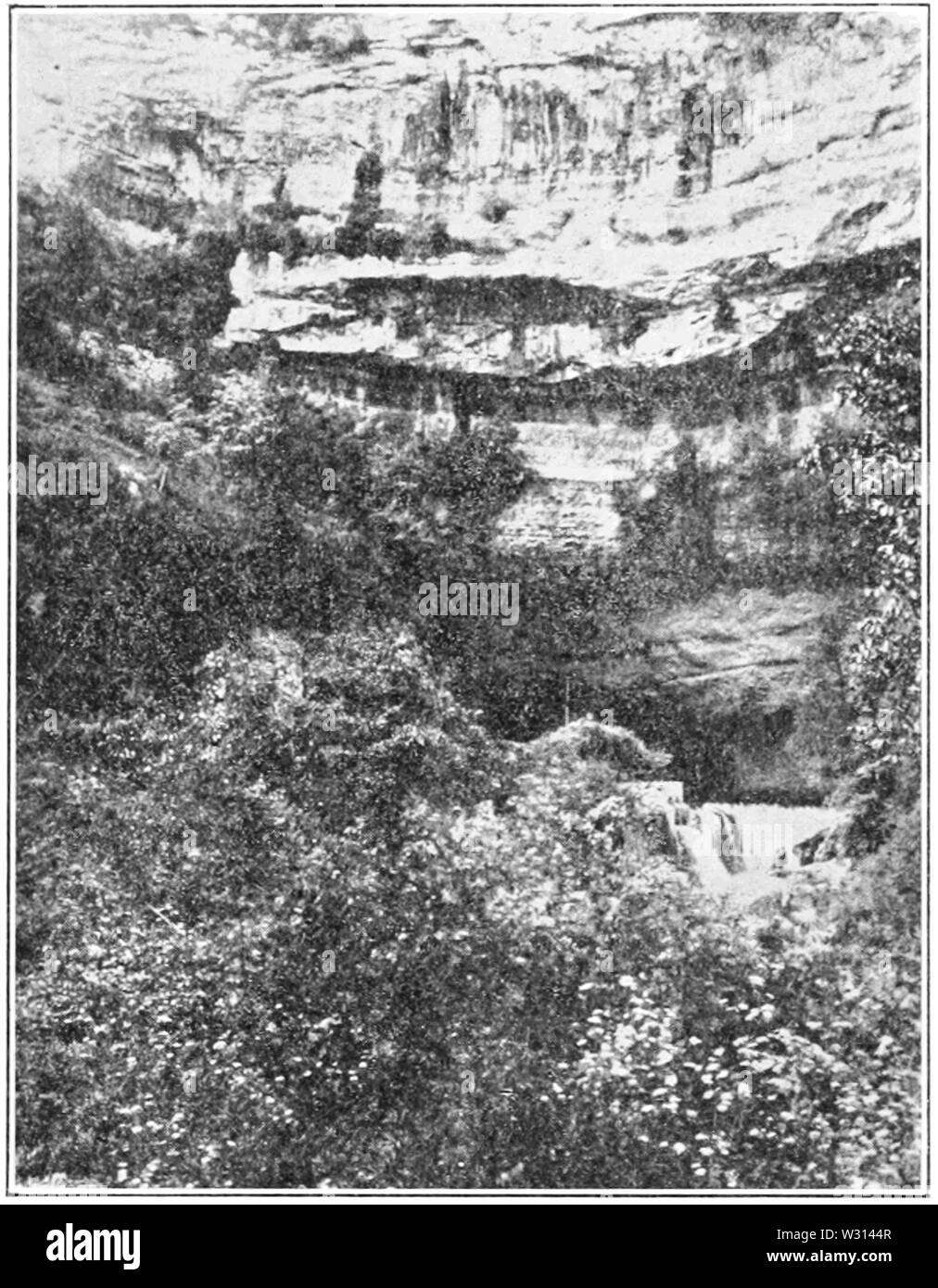 Dazil hi-res stock photography and images - Alamy