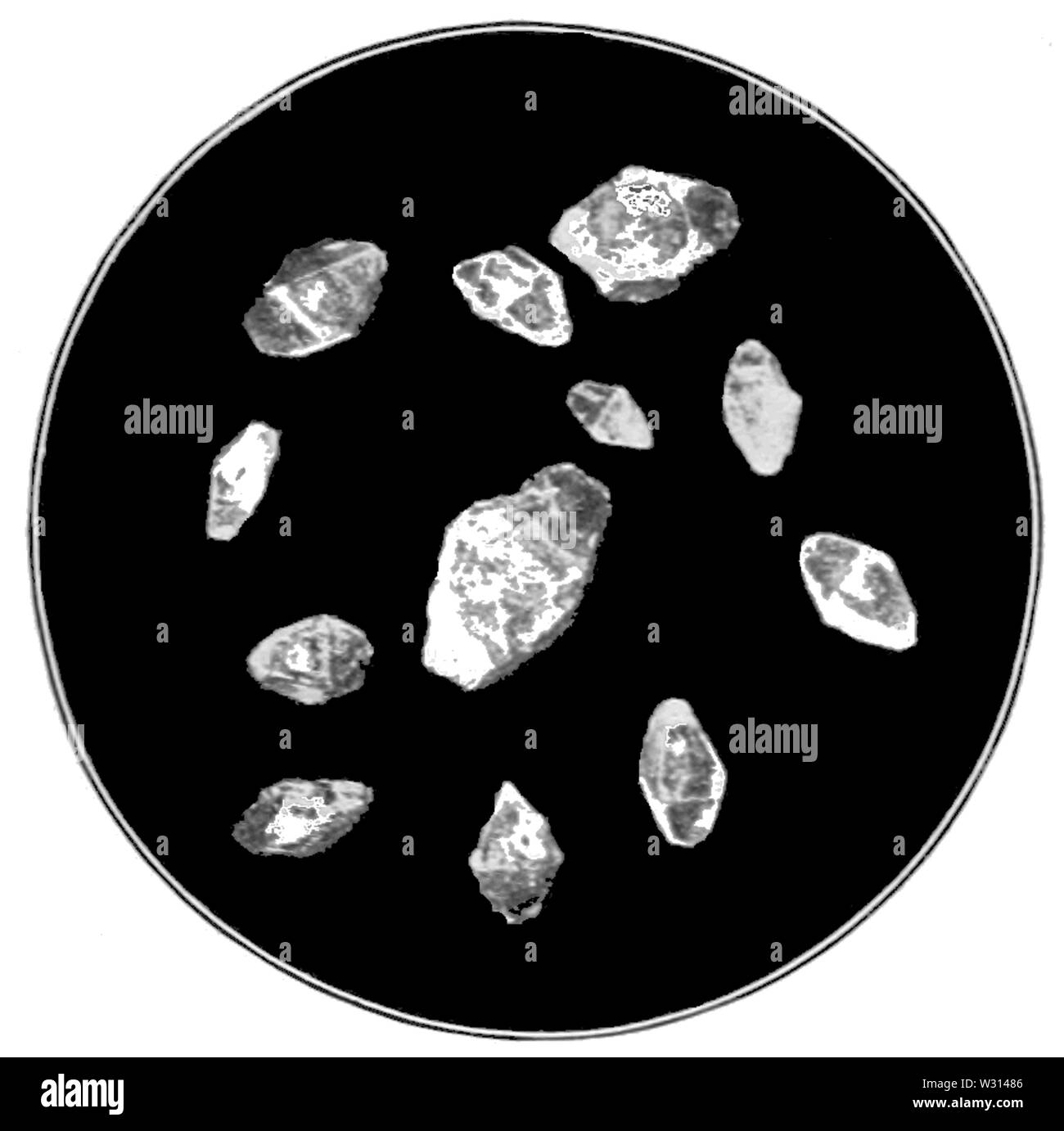 Rhombic sulphur hi-res stock photography and images - Alamy