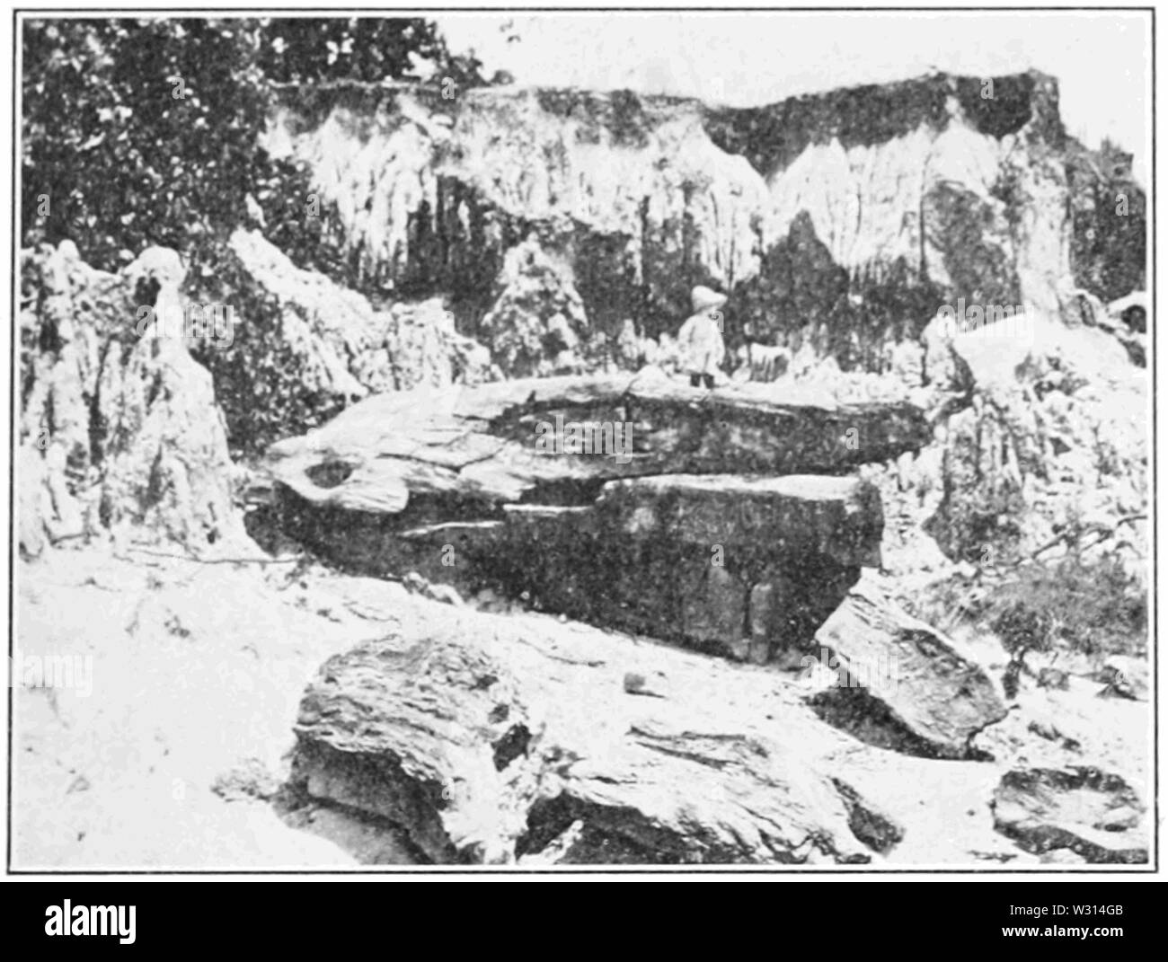 Log rock Cut Out Stock Images & Pictures - Alamy