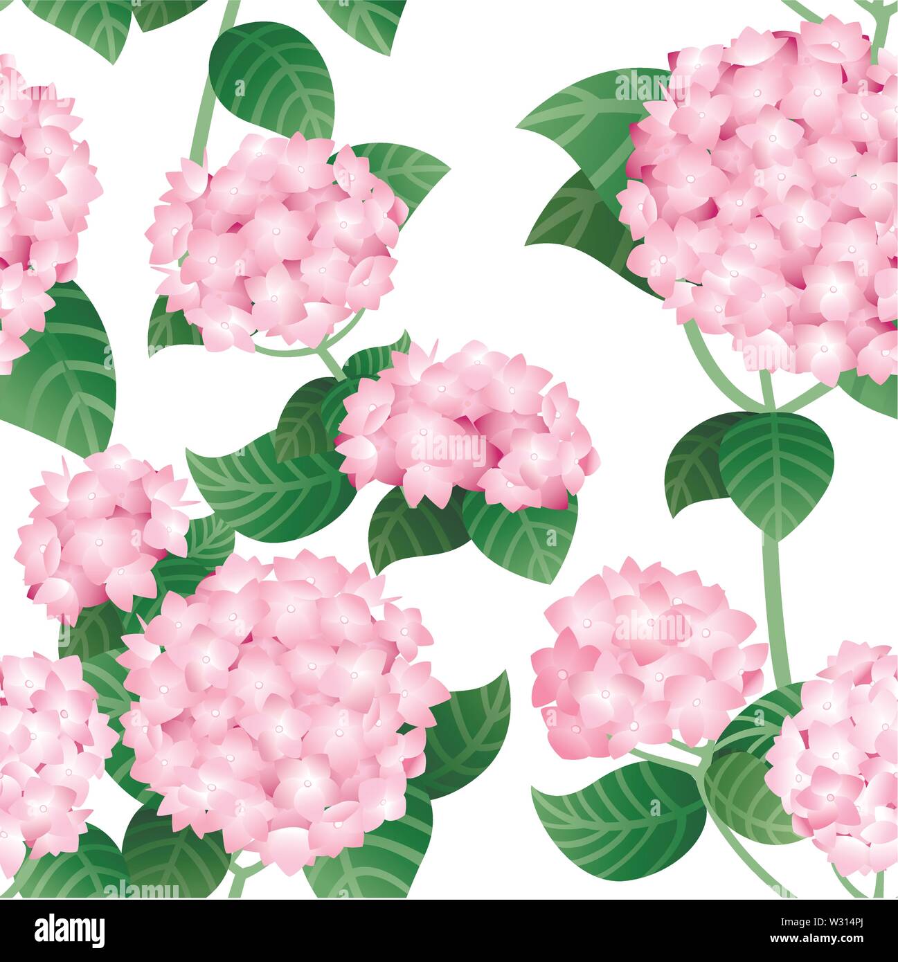 Light pink hydrangea Stock Vector Images - Alamy