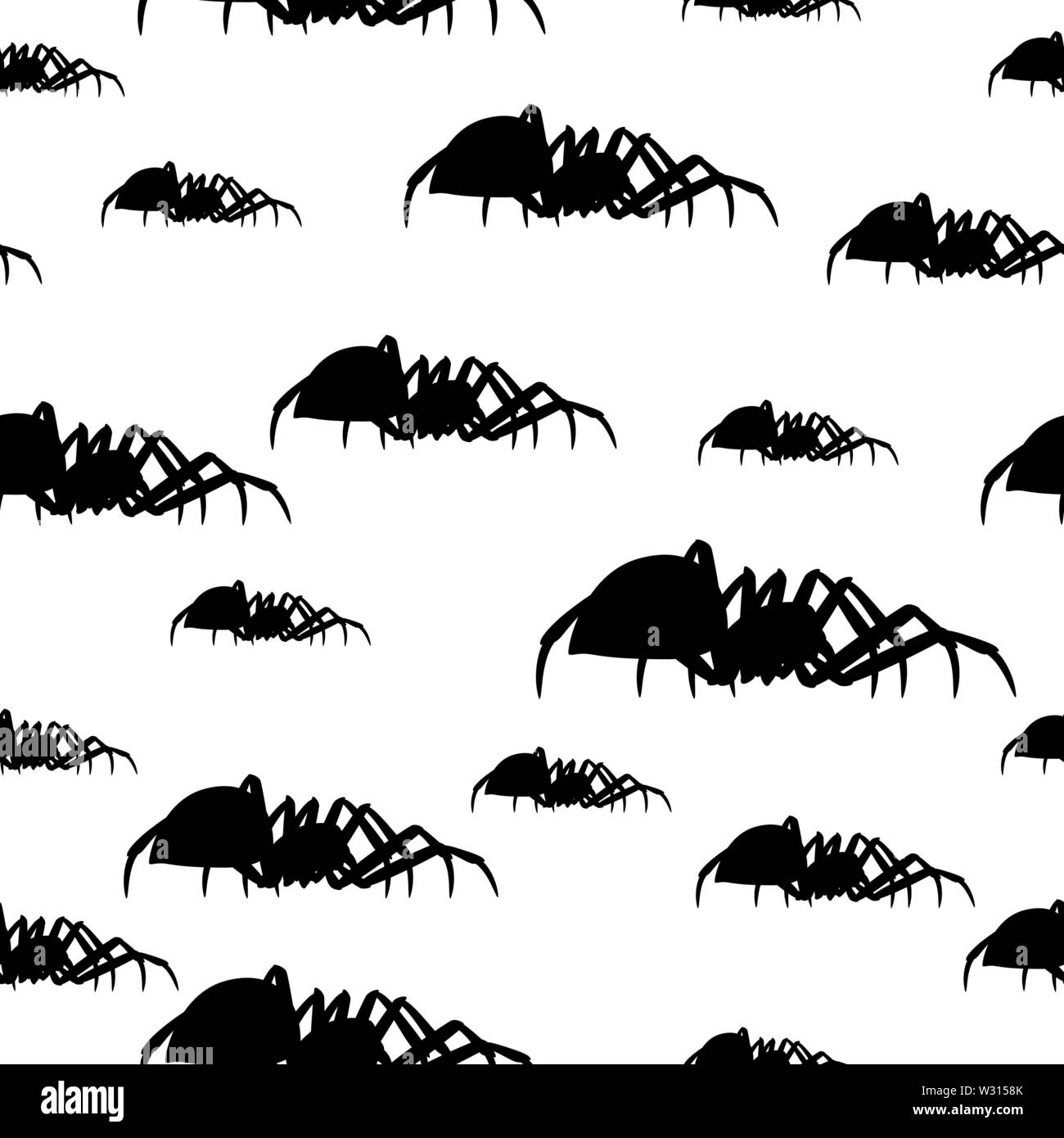 Black widow spiders Black and White Stock Photos & Images - Alamy