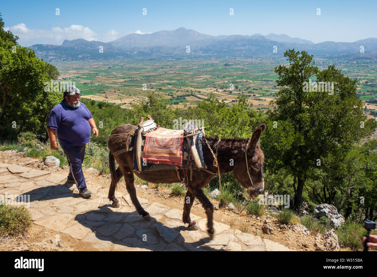 Donkey driver heading down from Dhiktean Cave, Lasithi Plateau, Crete ...