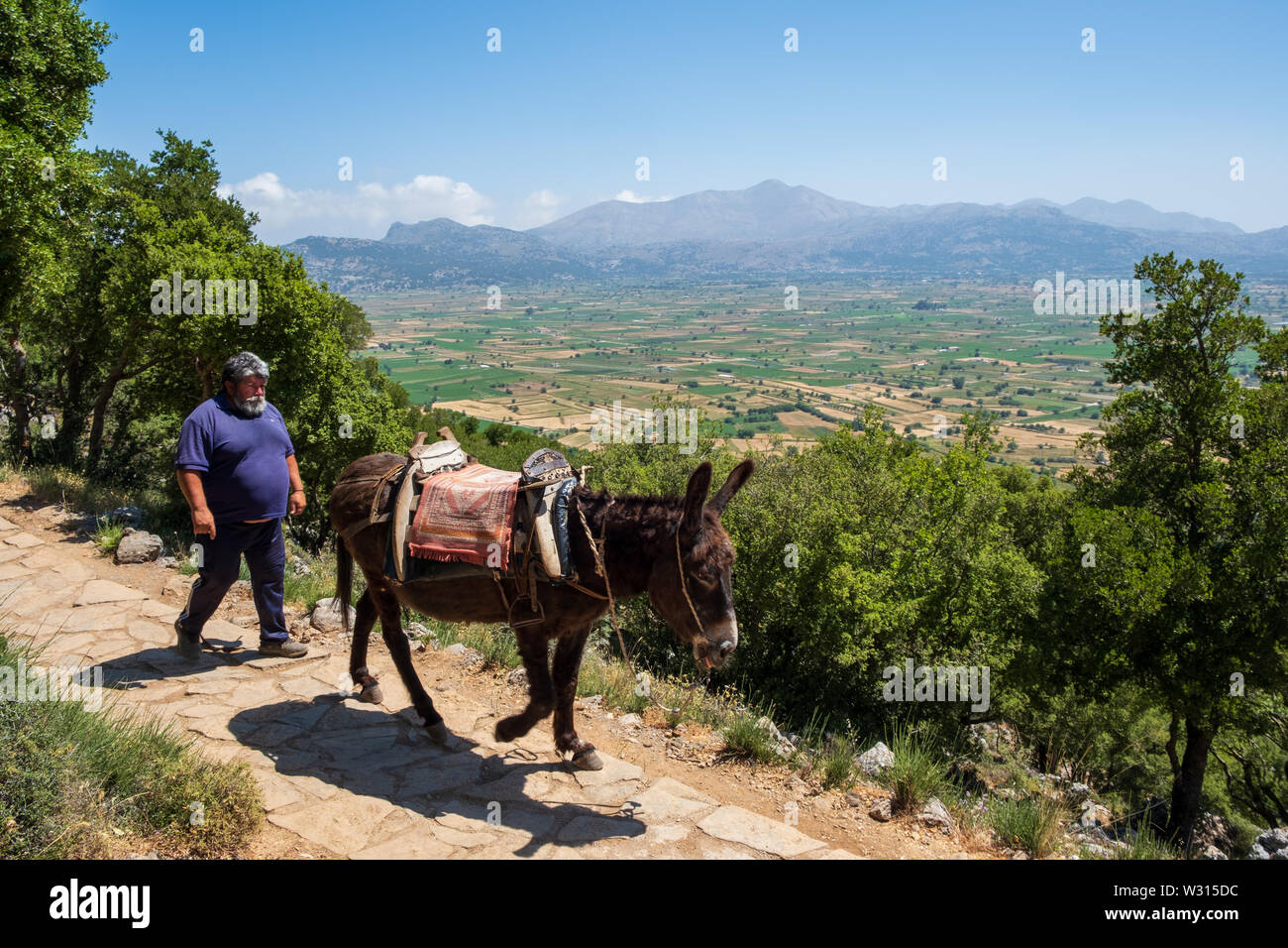Donkey driver heading down from Dhiktean Cave, Lasithi Plateau, Crete ...