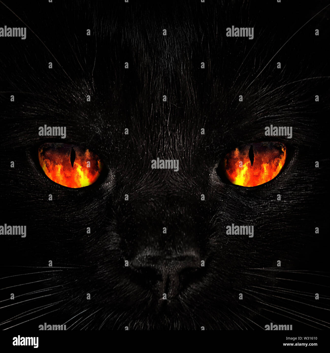 shaggy monster red eyes closeup Stock Photo - Alamy