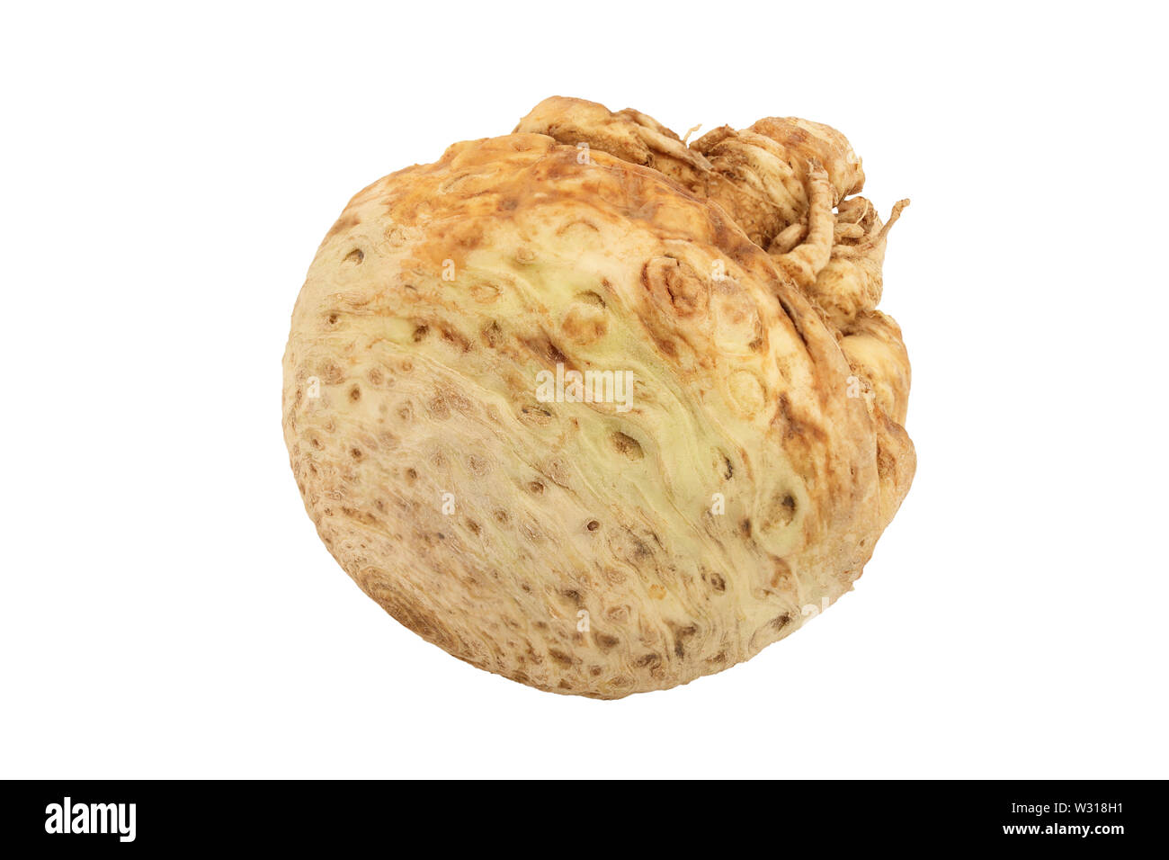 Fresh celery root isolated on white background Stock Photo - Alamy