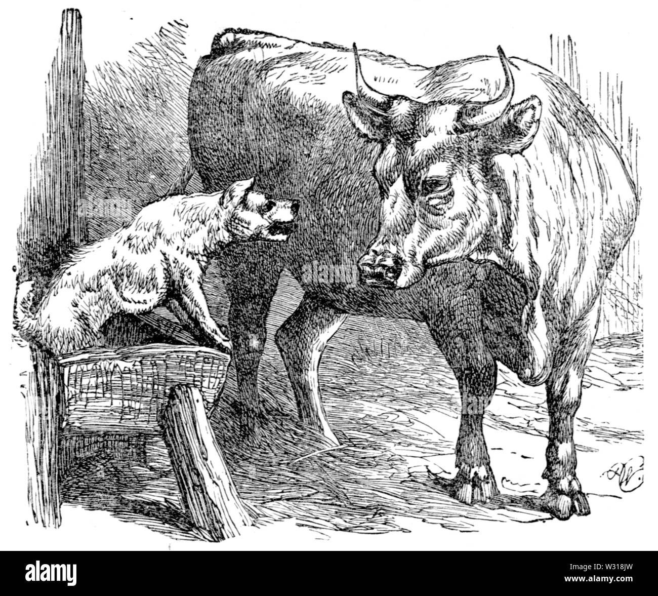Aesop's fables illustration Black and White Stock Photos & Images - Alamy