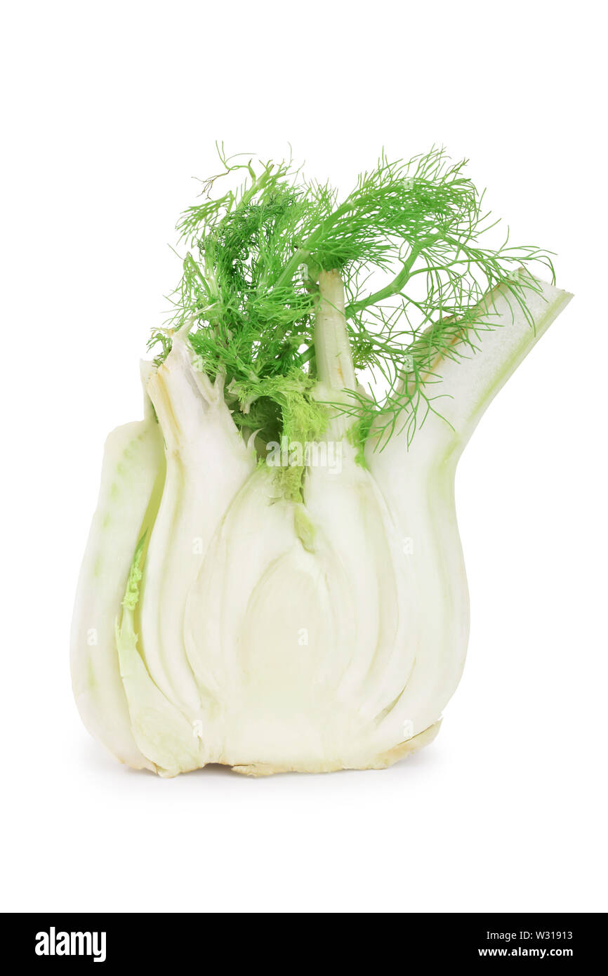 Fennel Bulb. Single fresh fennel bulb with leaves on white background ...