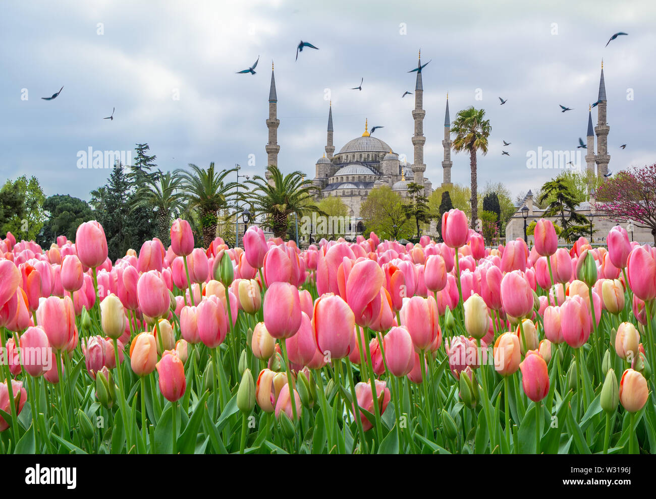 Turkey mosque landscape hi-res stock photography and images - Alamy