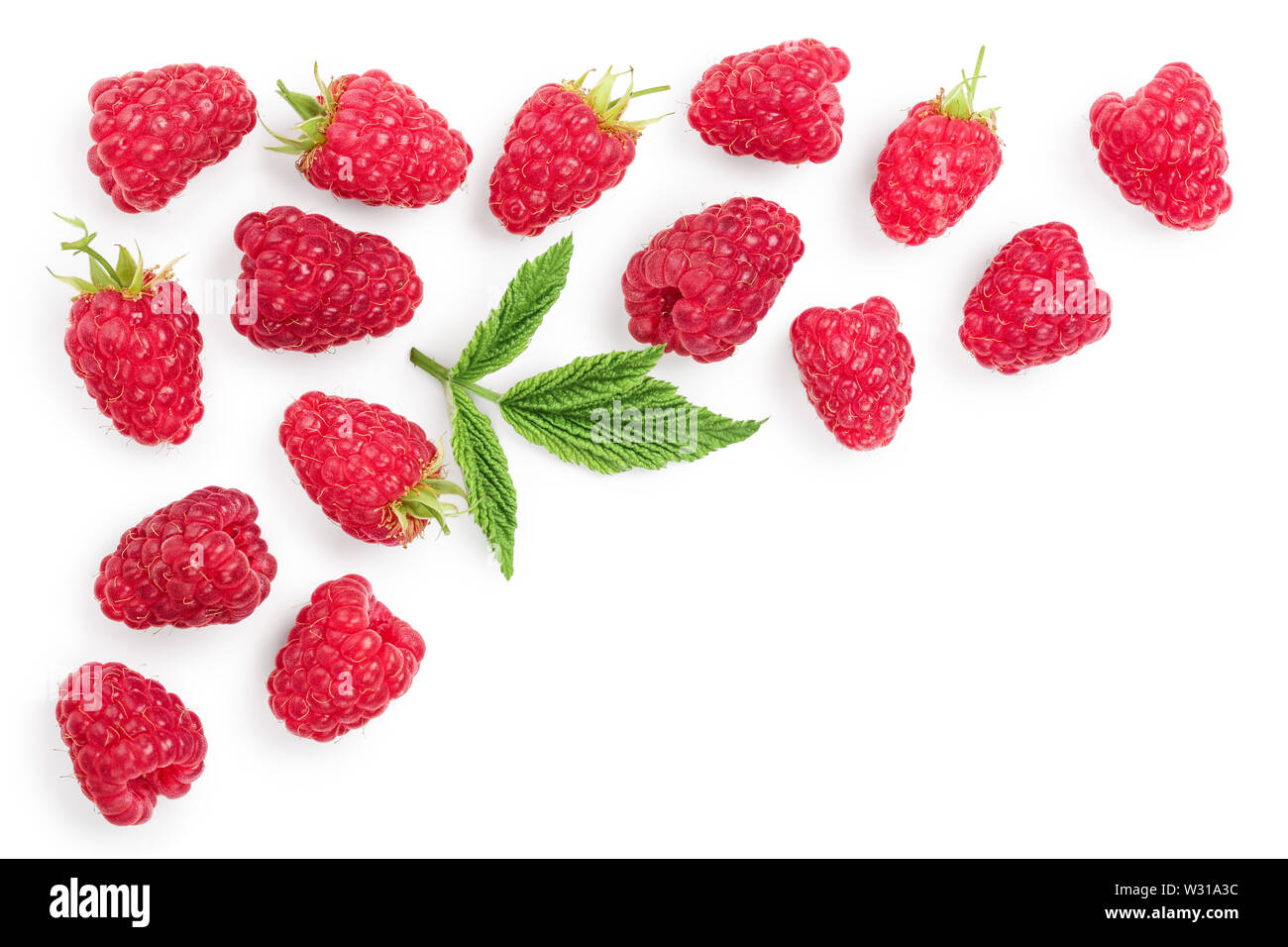 raspberries with leaves isolated on white background with copy space ...