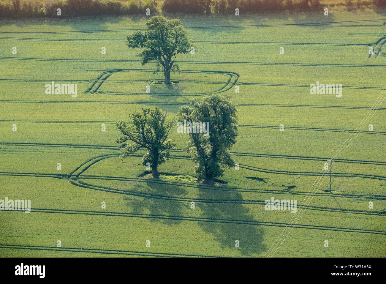 tree in arable farm field Stock Photo - Alamy