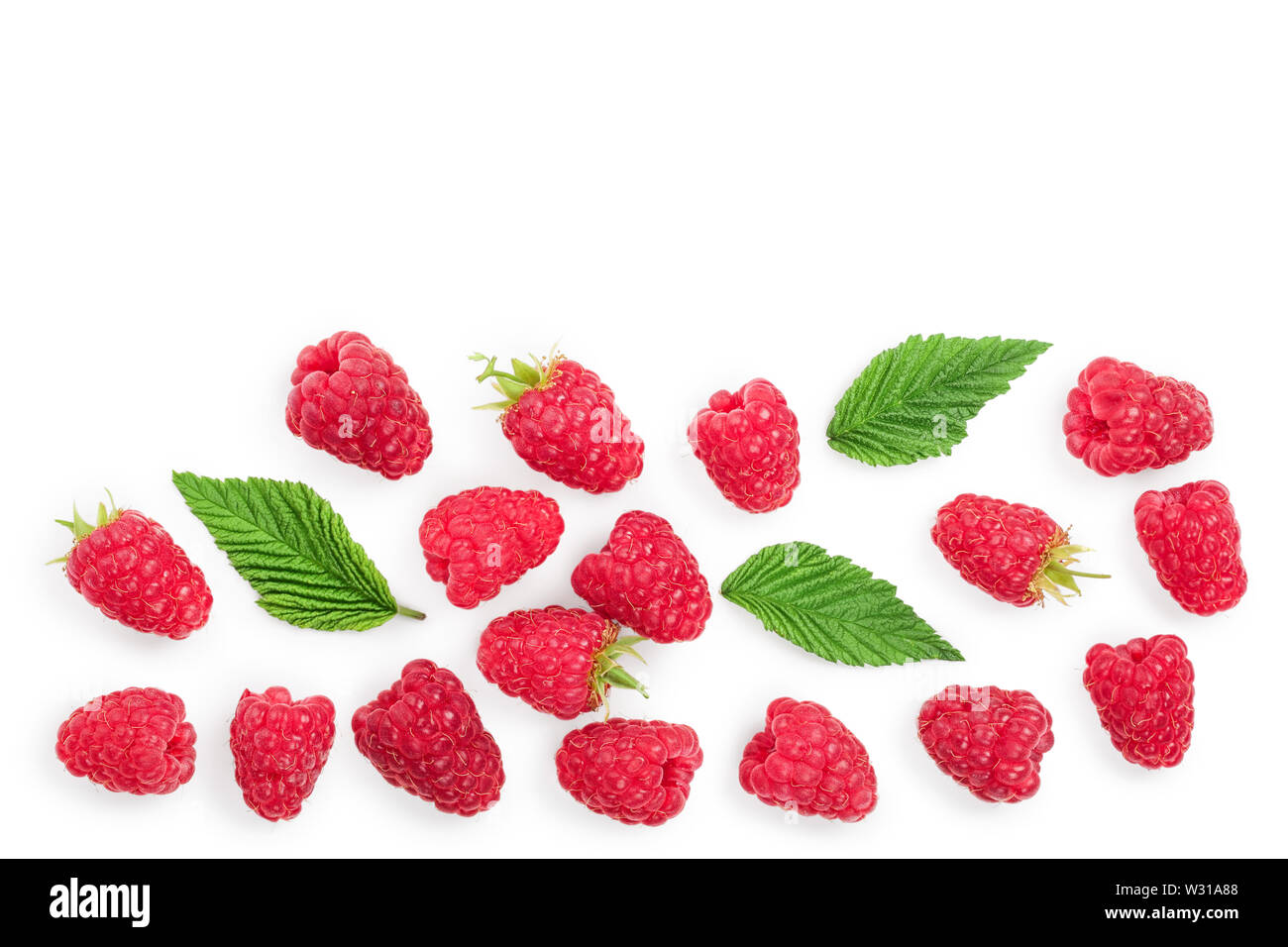 raspberries with leaves isolated on white background with copy space ...