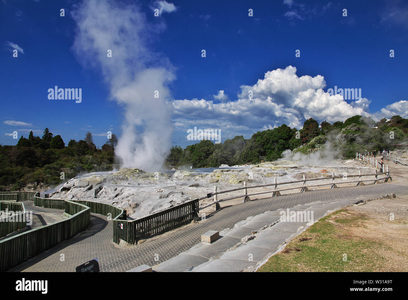 Walk through the thermal Park in Rotorua, New Zealand Stock Photo - Alamy