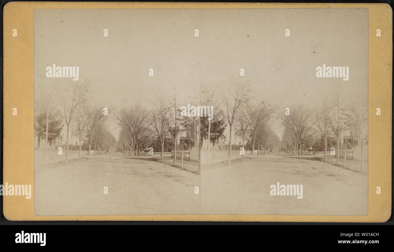 Park Avenue, by David W Wilson Stock Photo - Alamy