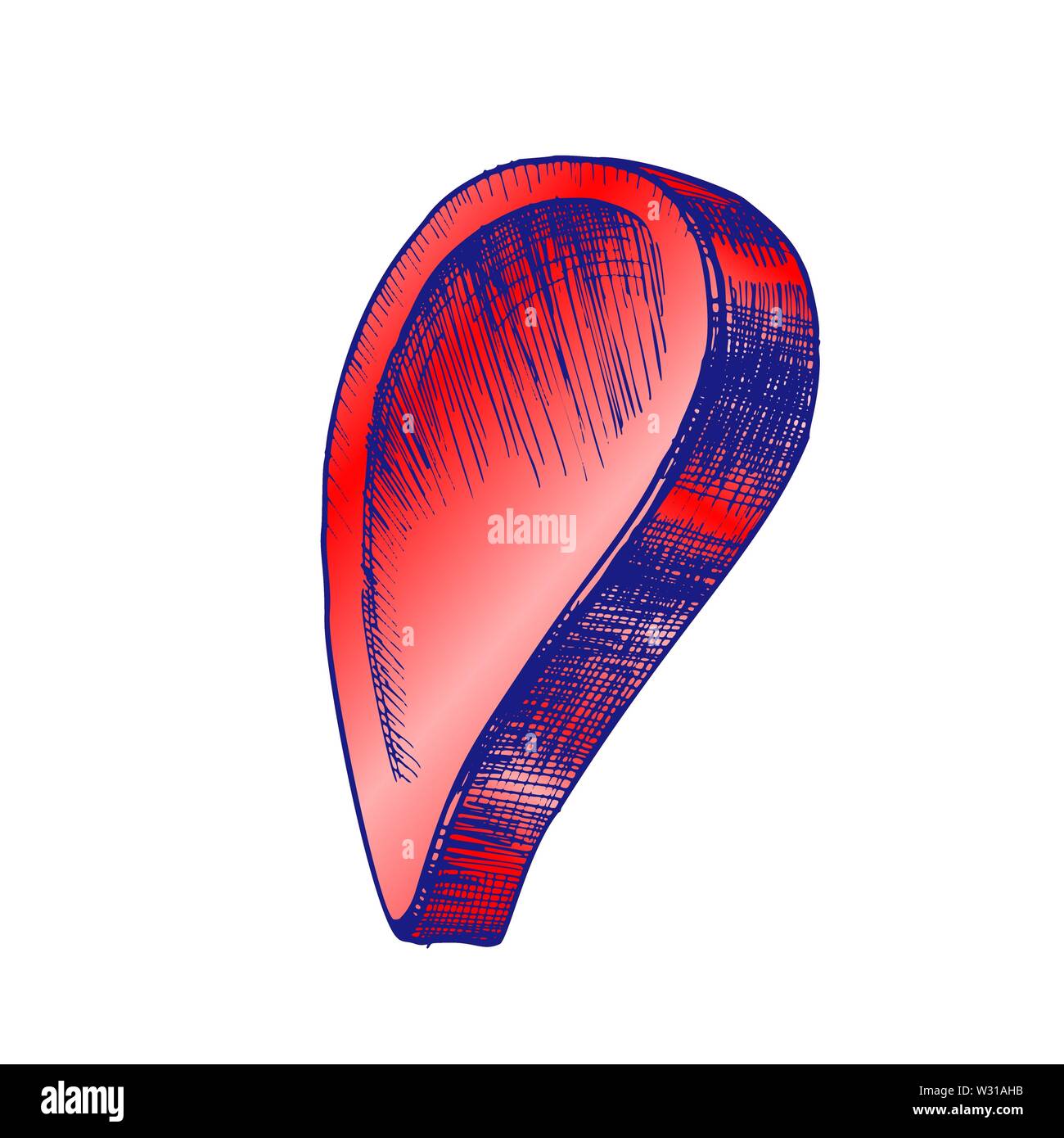 Color Drop Map Pointer Gps Location App Icon Vector Stock Vector Image ...