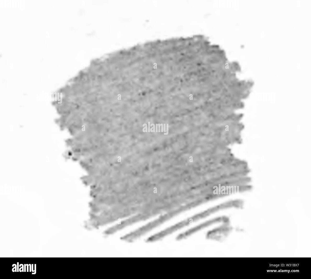 Sketching creative Black and White Stock Photos & Images - Alamy