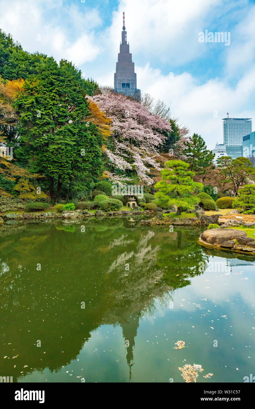 Sakura in Japan Stock Photo - Alamy