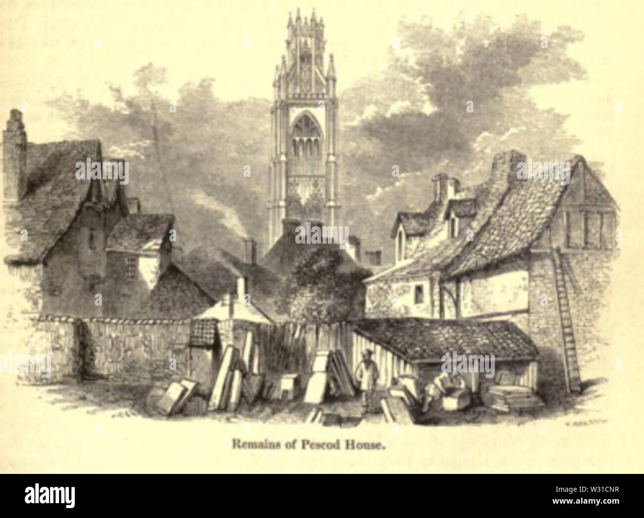 Pescod hi-res stock photography and images - Alamy