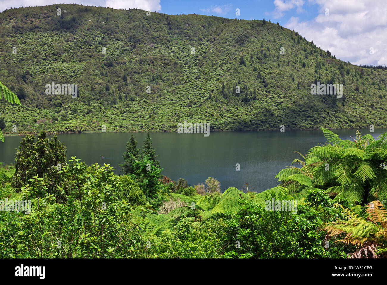 Blue and green lake, Rotorua, New Zealand Stock Photo - Alamy