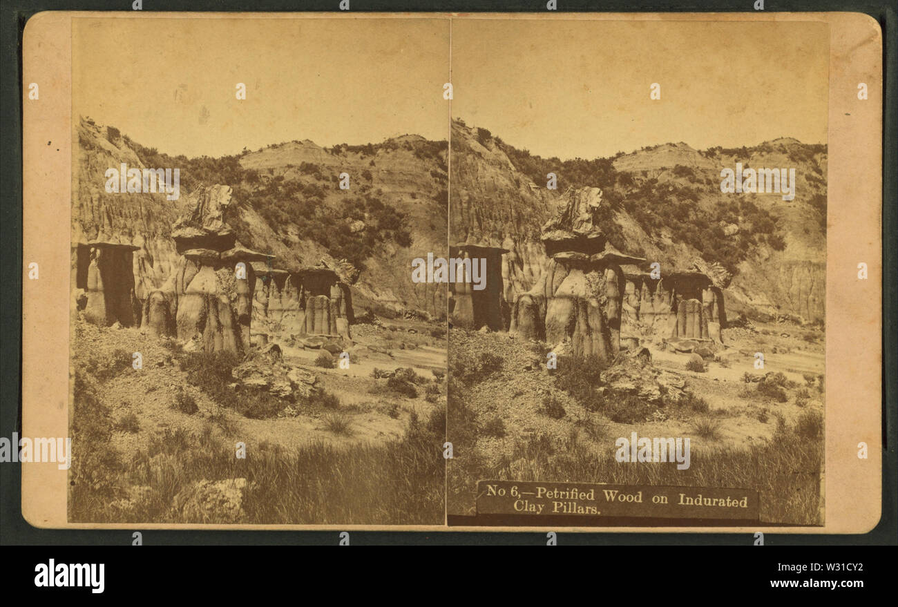 Indurated hi-res stock photography and images - Alamy