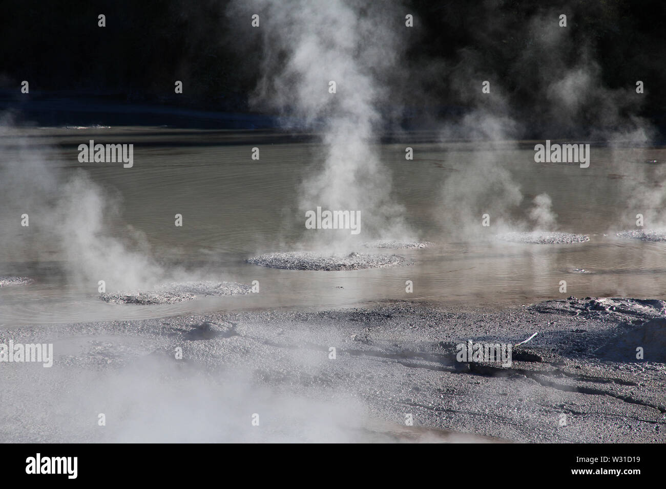 Country of geysers in, Rotorua, New Zealand Stock Photo - Alamy