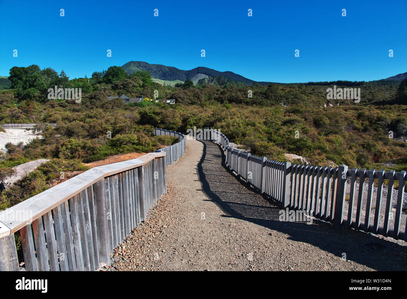 Country of geysers in, Rotorua, New Zealand Stock Photo - Alamy