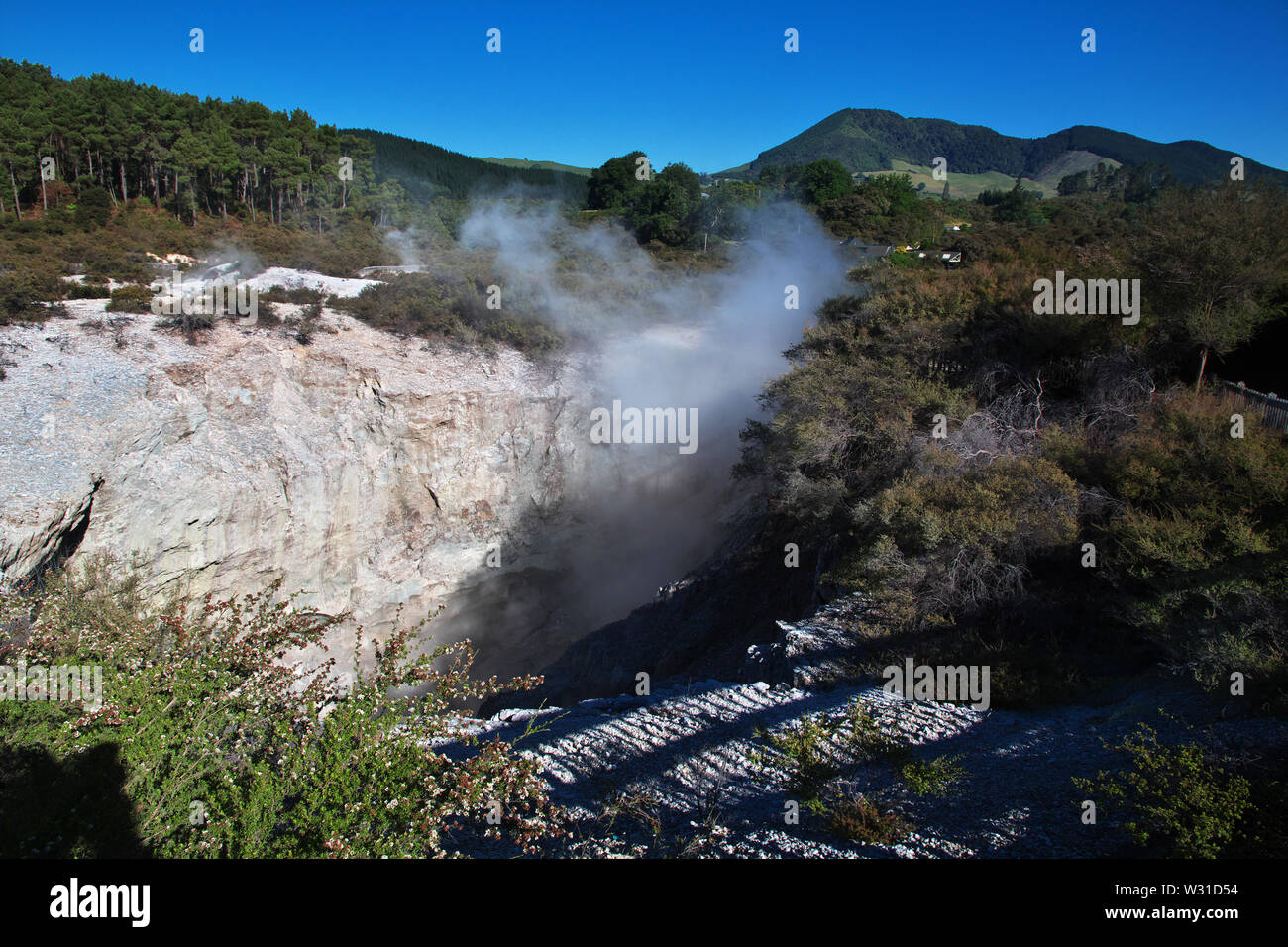 Country of geysers in, Rotorua, New Zealand Stock Photo - Alamy